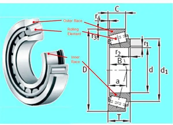 Frontera negro Incesante roller bearing types Agente Cervecería por ejemplo Frontera negro Incesante roller bearing types Agente Cervecería por ejemplo