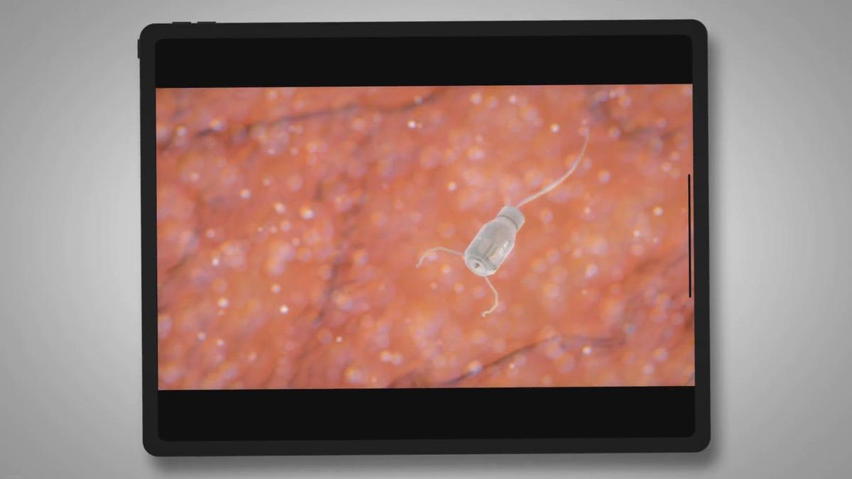 Nanotechnology in Energy - Solar